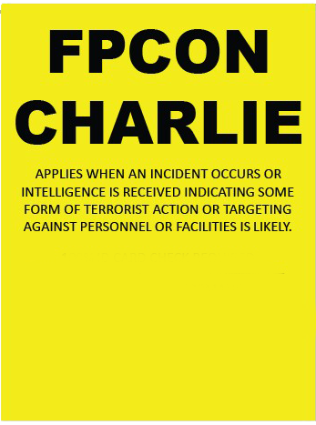 Force Protection Levels